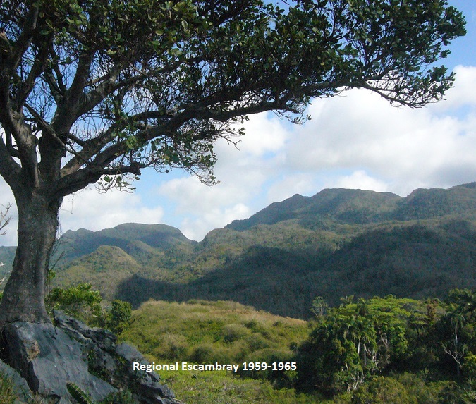 Escambray: capítulos de dolor borrados de la Historia Cubana ...